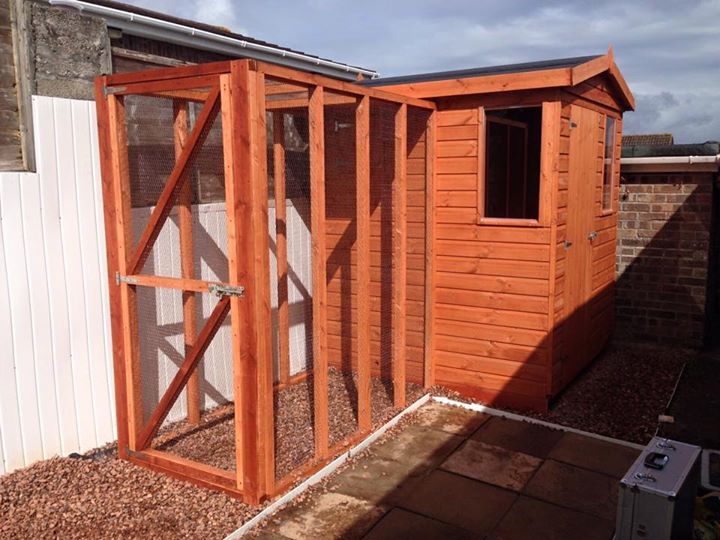 6x3 shed with 6x3 Bird Avery (2) - Dave's Sheds